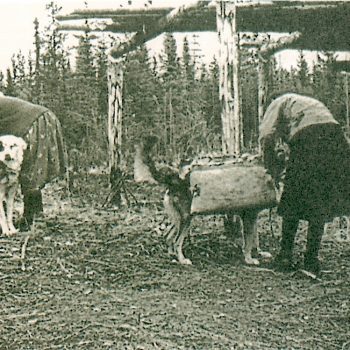 Our History - Kaska Dena Council