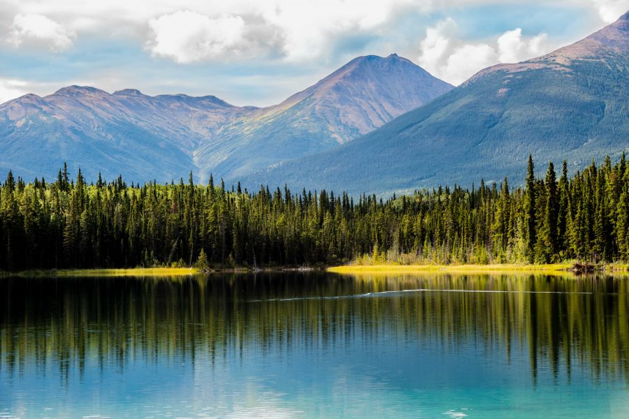 First Nations Push for Conservation Plan to Protect 40,000 sq. km of ...