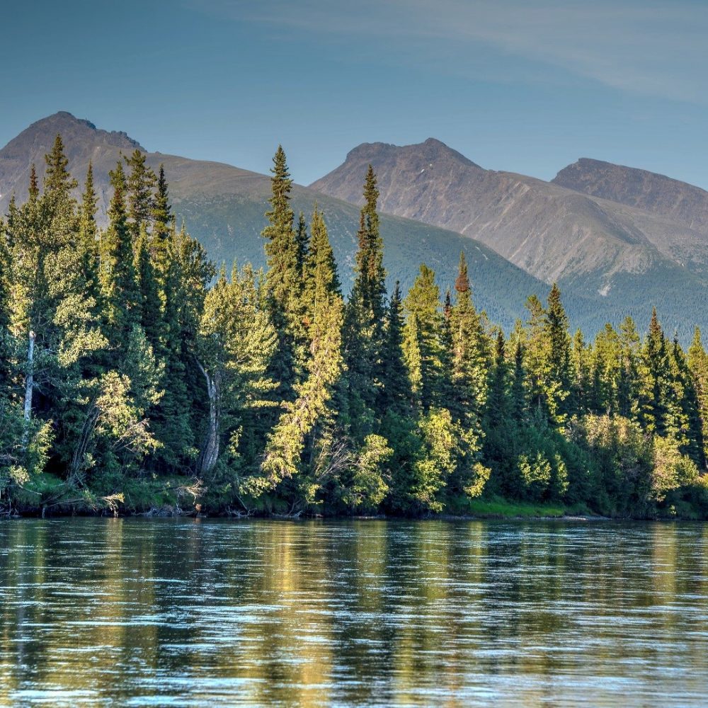 Dene Kʼéh Kusān - Kaska Dena Council